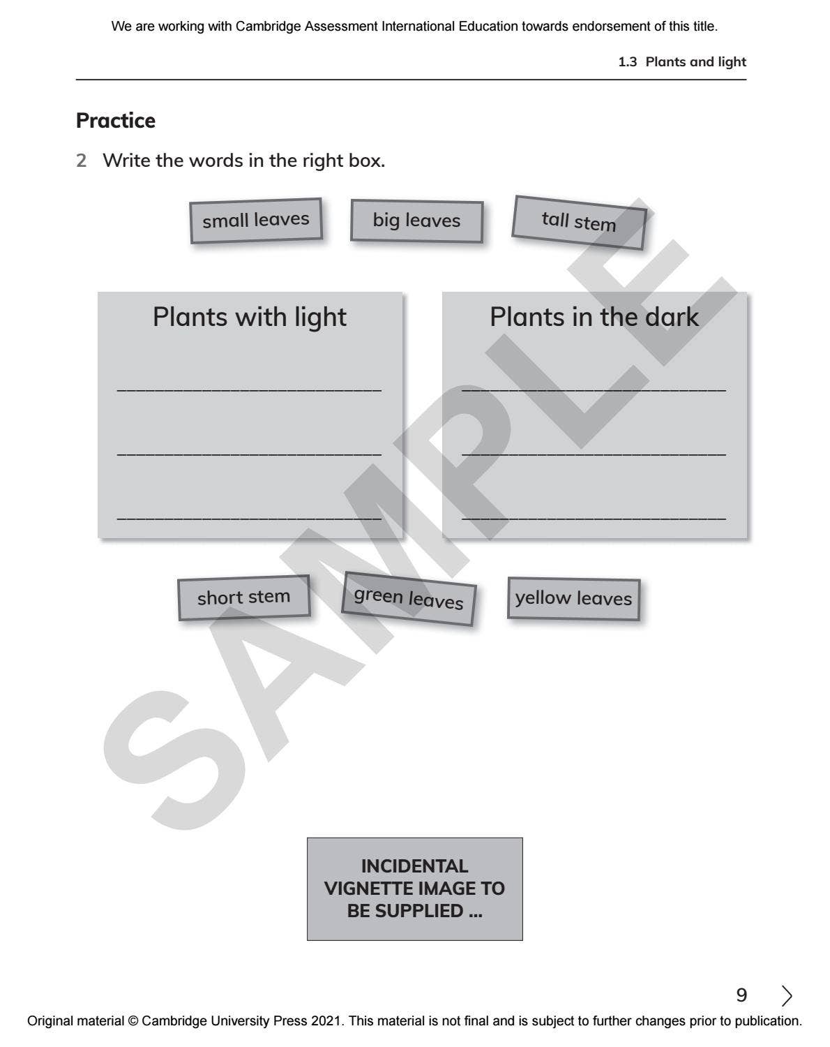 Primary Science Workbook 1 Sample by Cambridge International Education ...