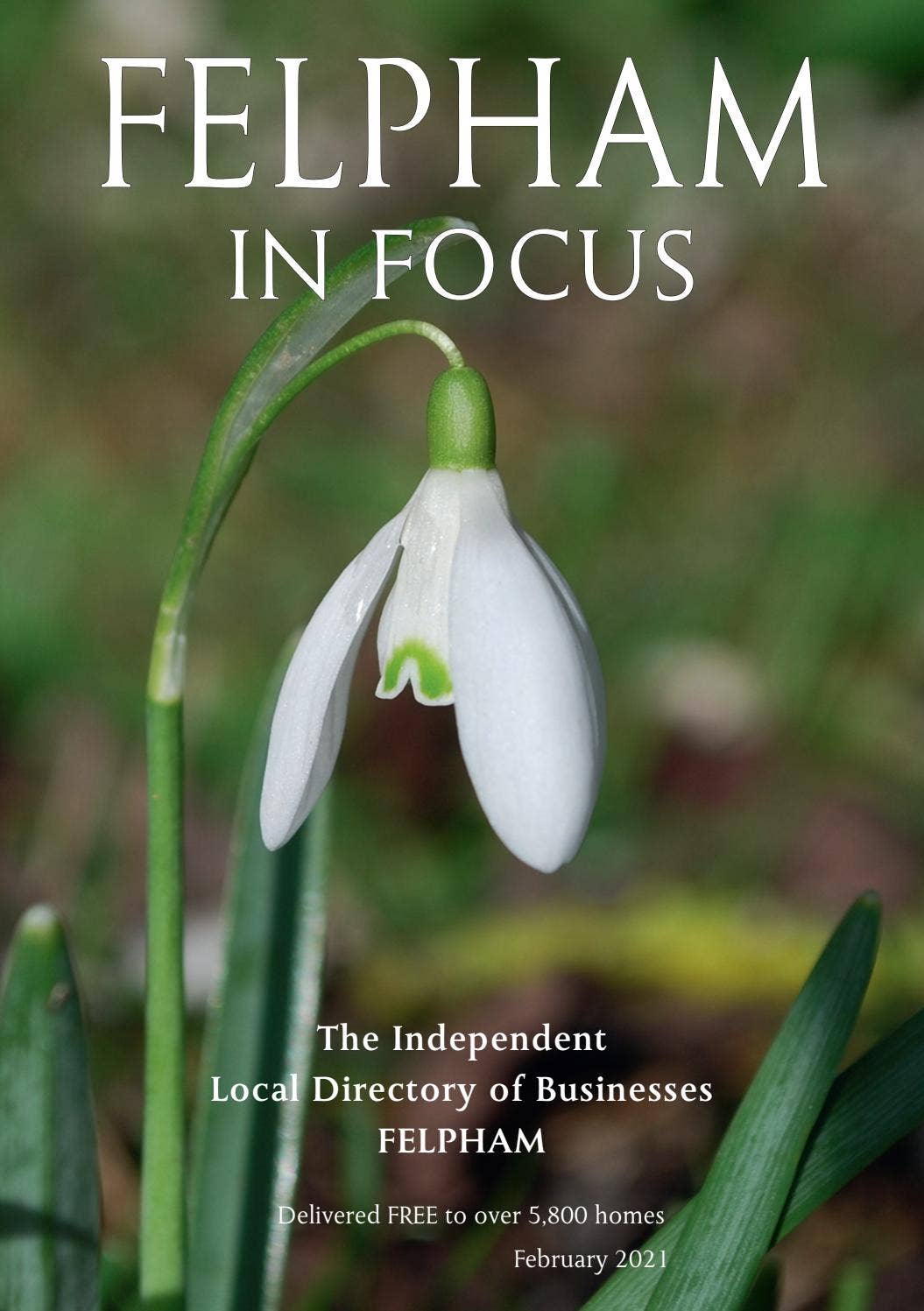 Felpham in Focus February 2021 by InFocus - Issuu