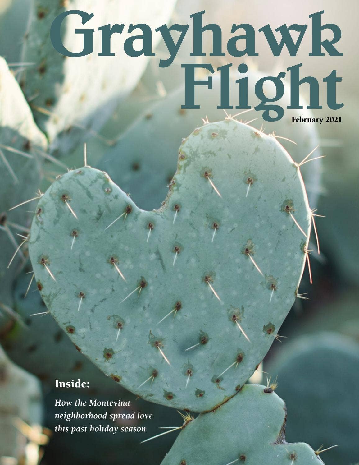 The Grayhawk Flight- February 2021 by Grayhawk Flight - Issuu