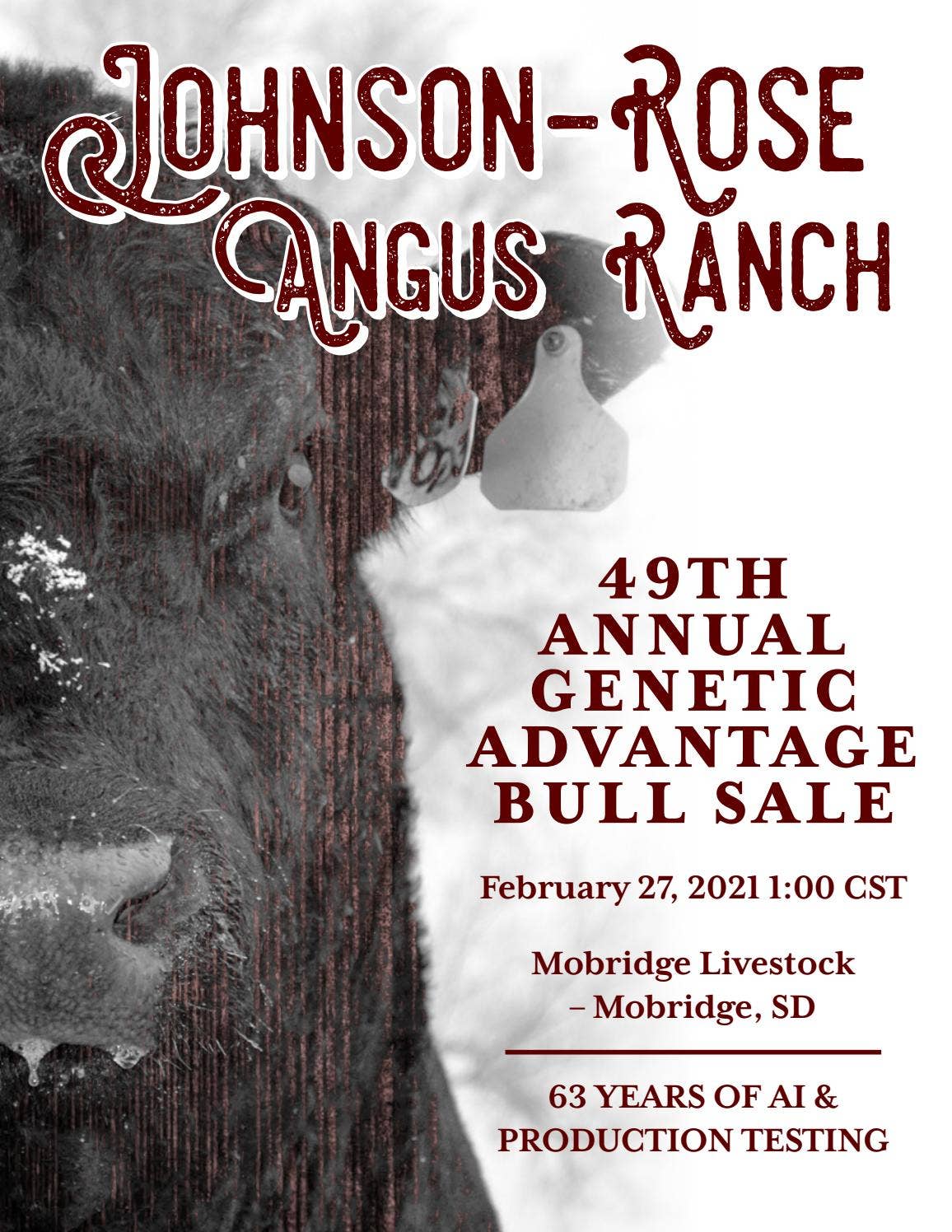 Johnson-Rose Angus 2021 by johnsonroseangus - Issuu