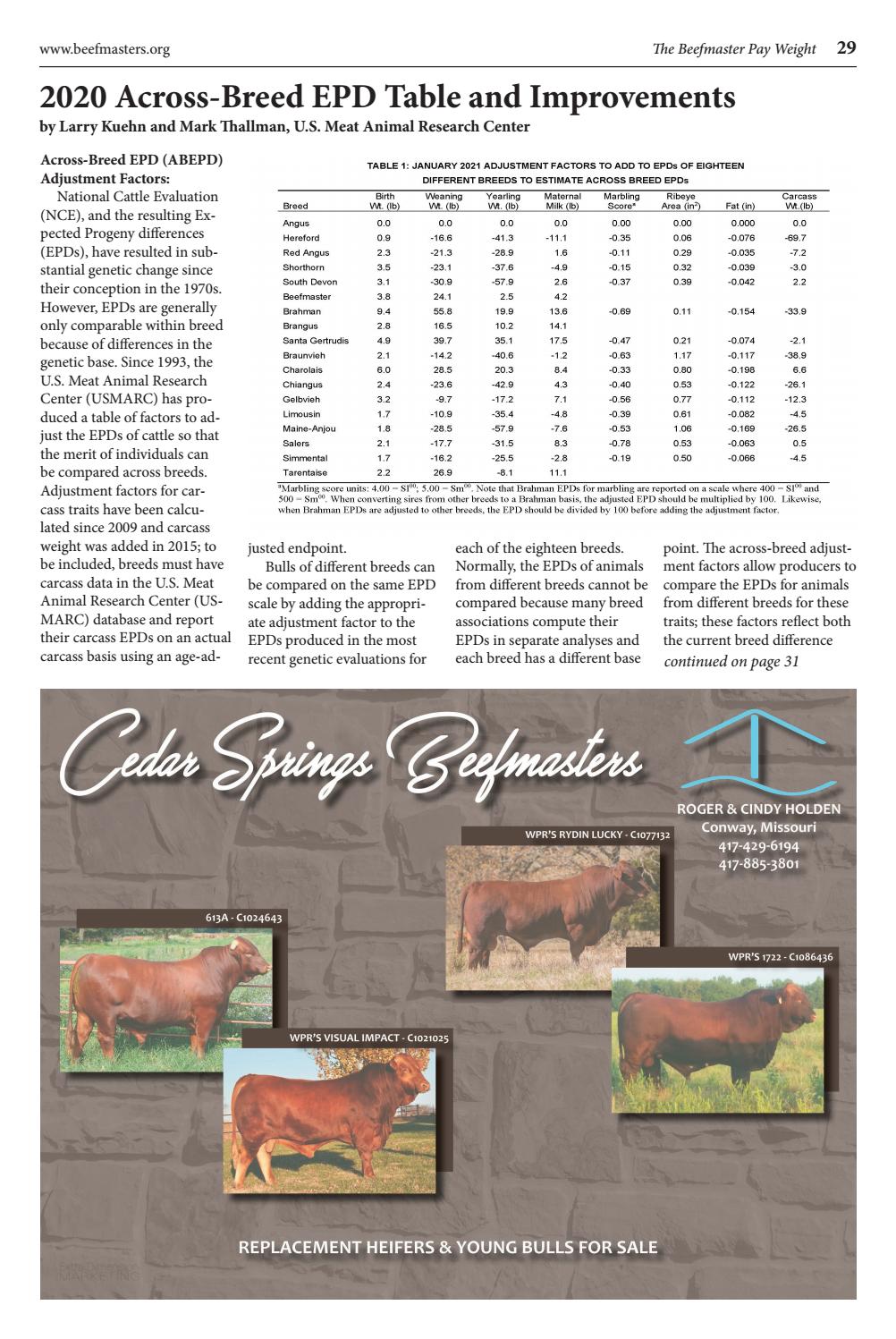 The Beefmaster Pay Weight - Spring 2021 by Beefmaster Breeders United ...