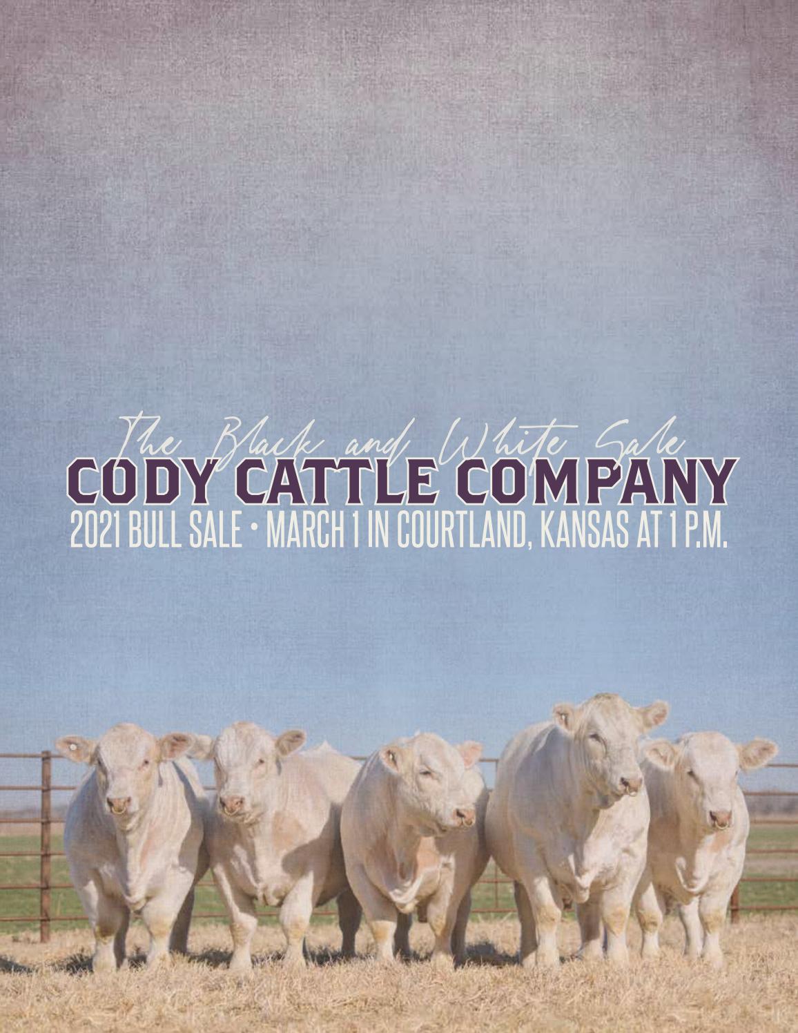 The Black and White Bull Sale - Cody Cattle Company by Tracy McMurphy ...