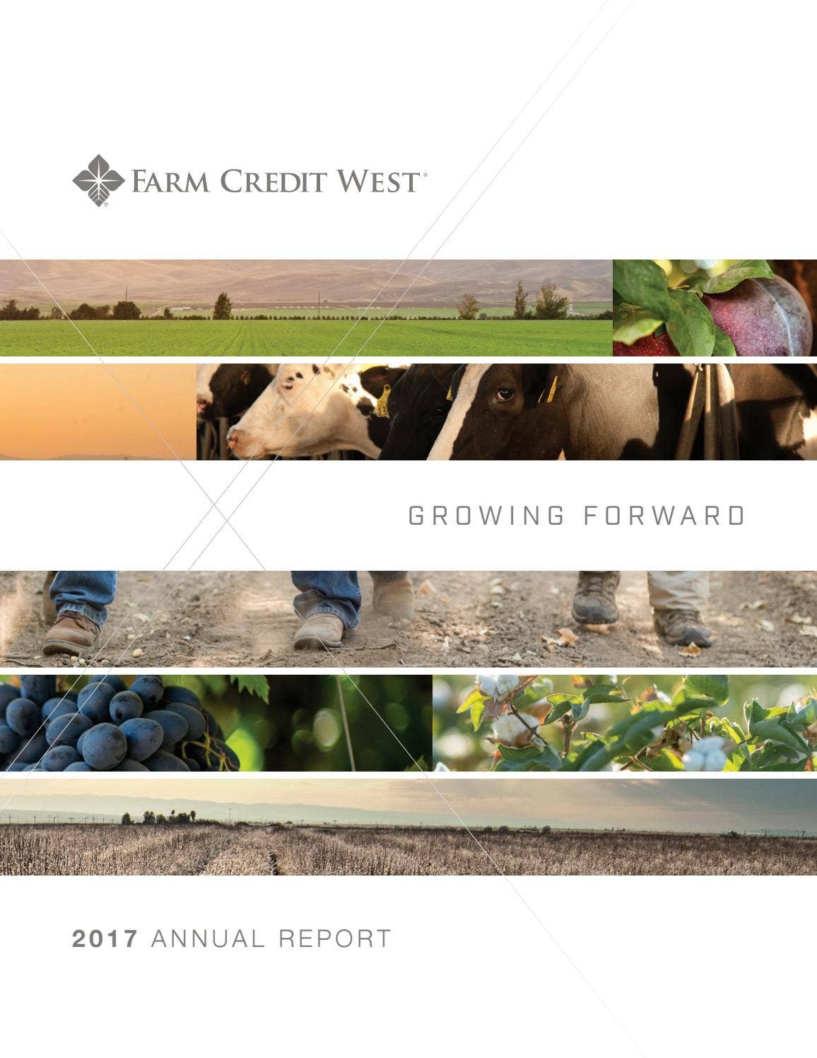 2017 Annual Report by Farm Credit West - Issuu