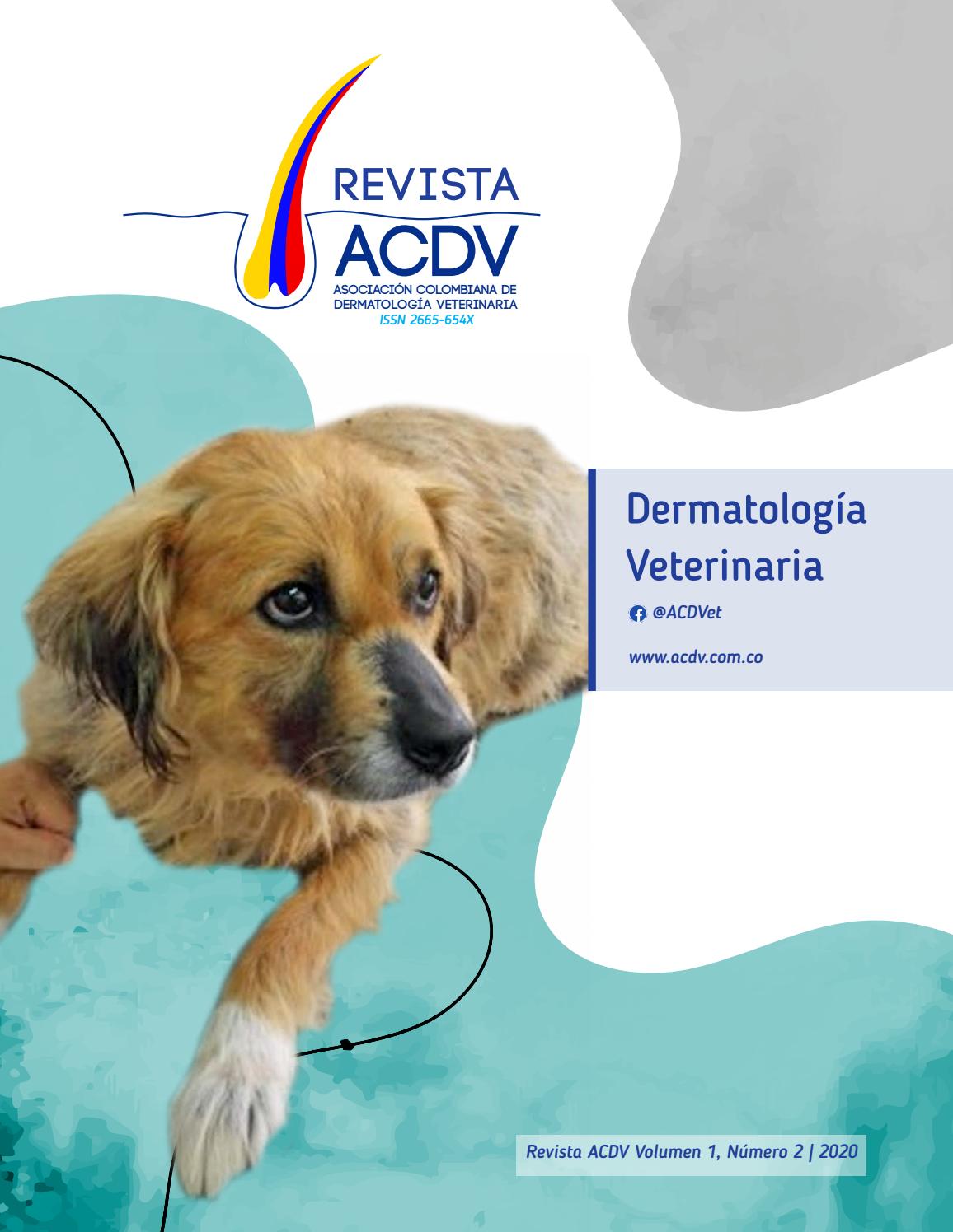 Revista ACDV Volumen 1, Número 2 | 2020 by El Editor - Issuu