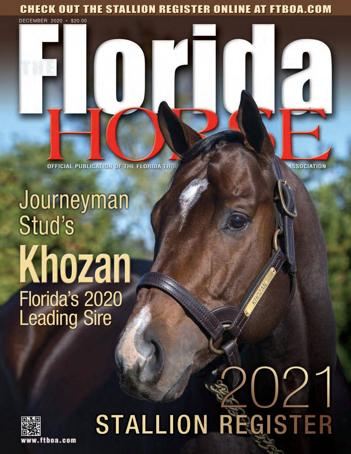 Florida Horse 2021 Stallion Register by Florida Equine Communications ...