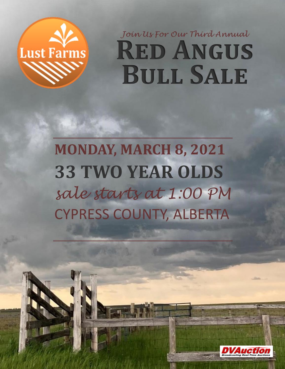 Lust Farms 2021 Bull Sale by Sheila Lust - Issuu