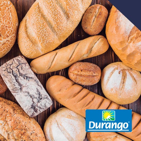 Catalogo de productos Durango 2021 by Durango - Issuu