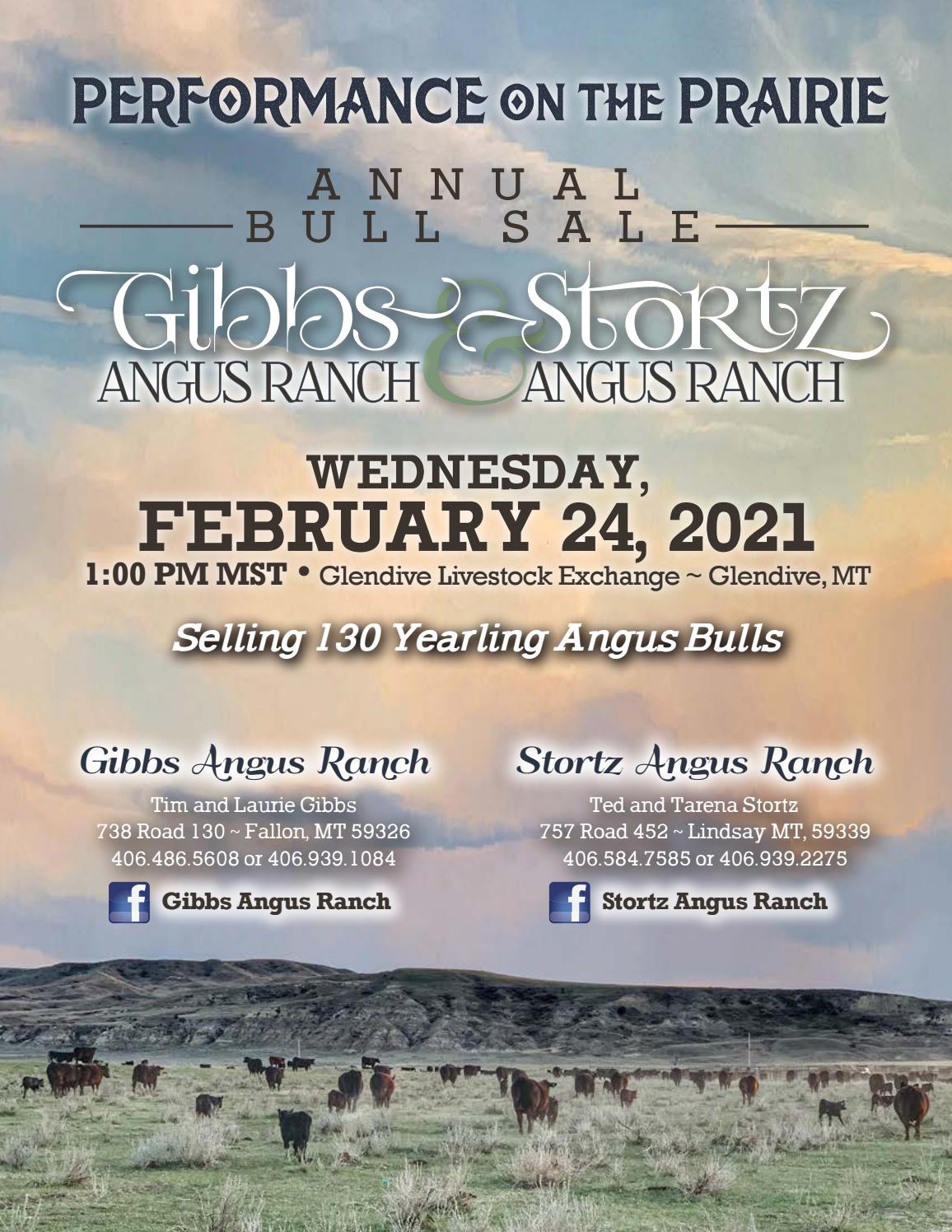 Performance on the Prairie-Gibbs Angus Ranch & Stortz Angus Ranch by ...