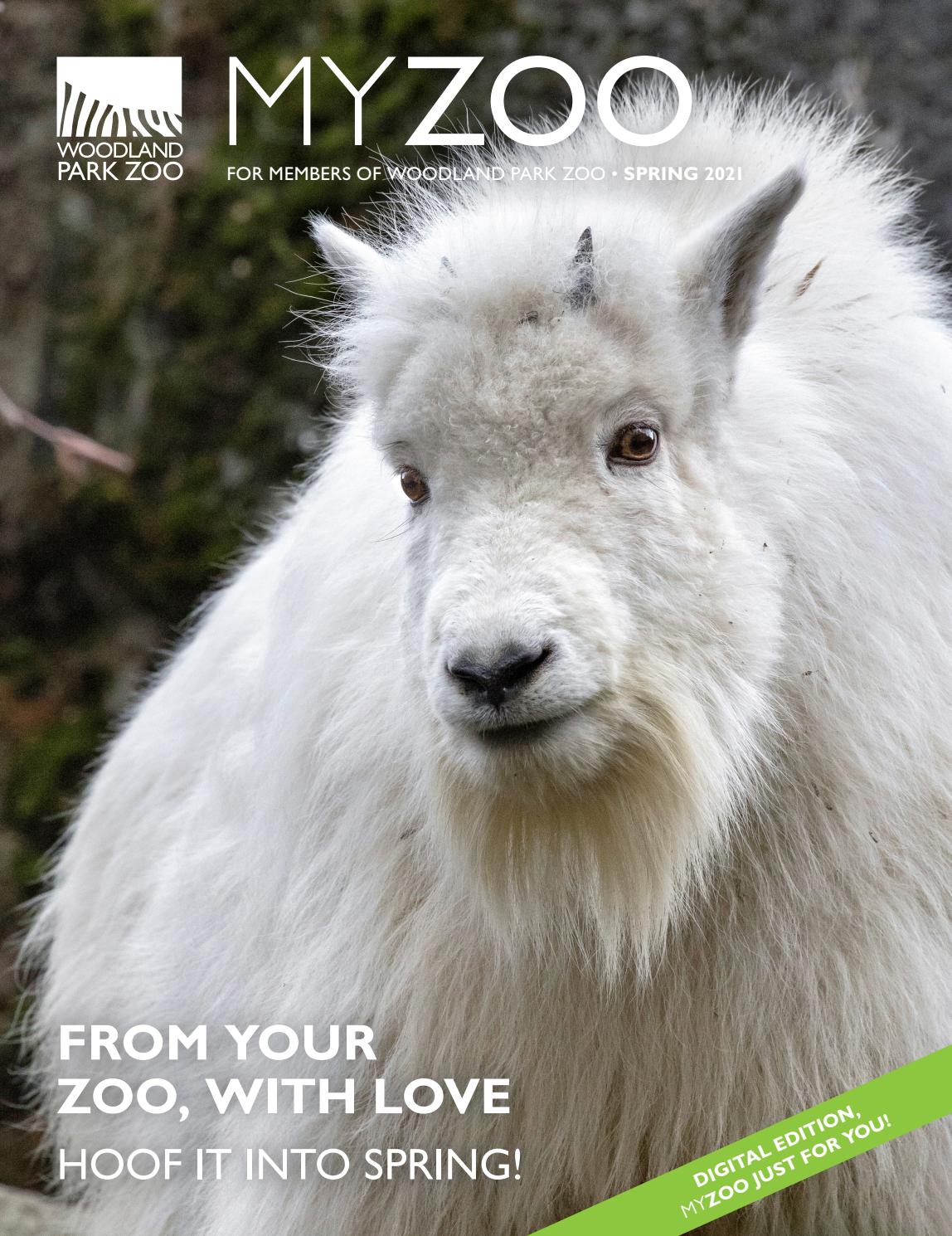 MyZoo Spring 2021 by Woodland Park Zoo - Issuu