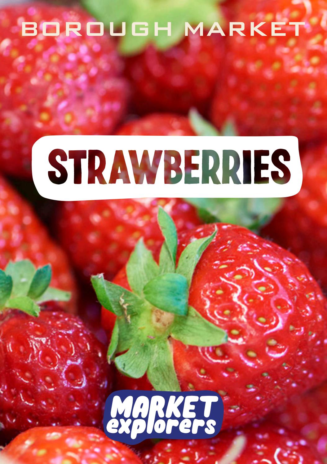 Market Explorers: Strawberries by lscpublishing - Issuu