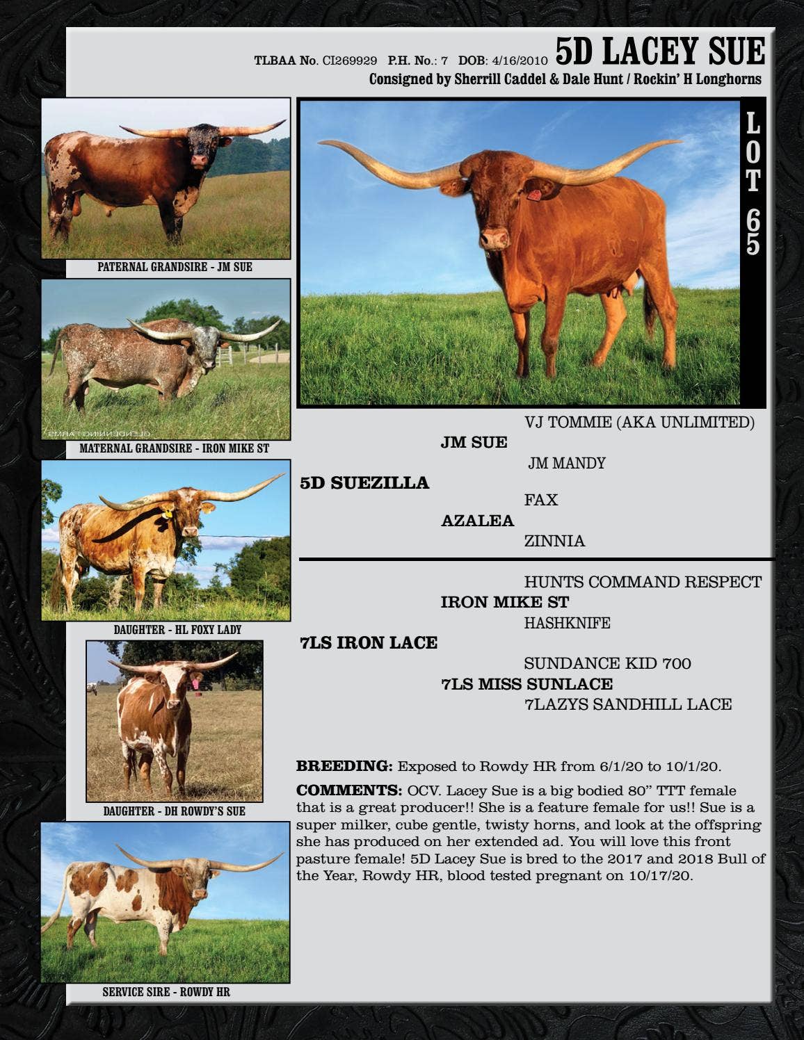 2021 Texoma Spring Classic Longhorn Sale Catalog by Texas Longhorn ...