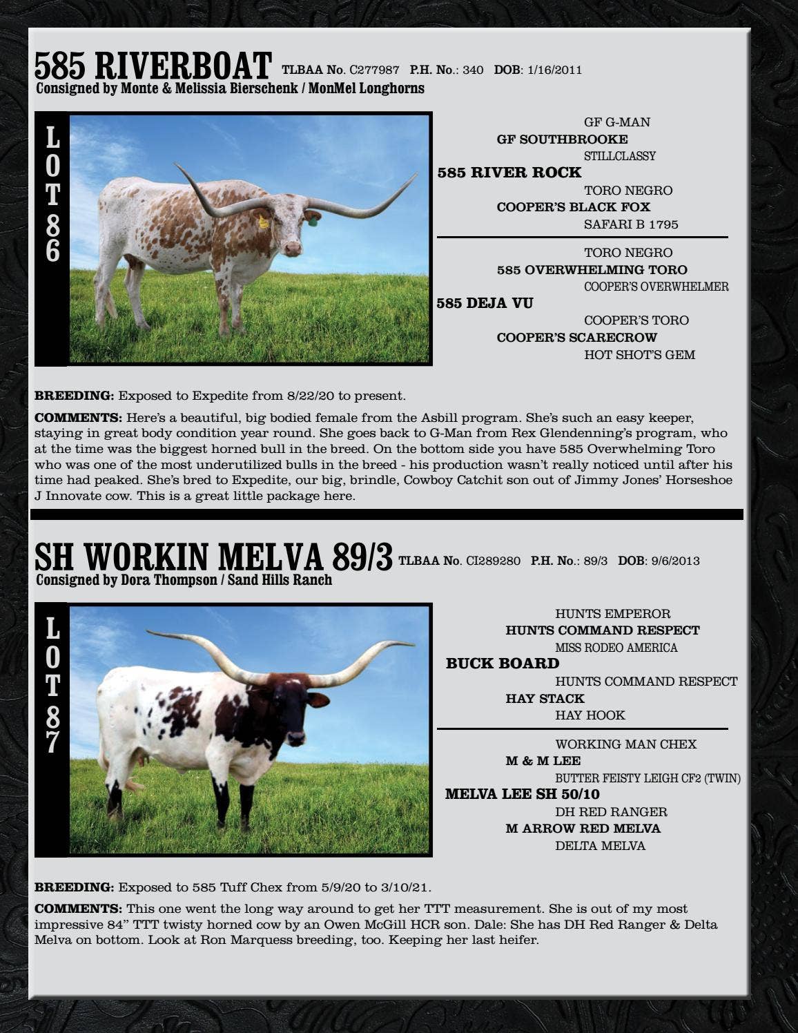 2021 Texoma Spring Classic Longhorn Sale Catalog by Texas Longhorn ...