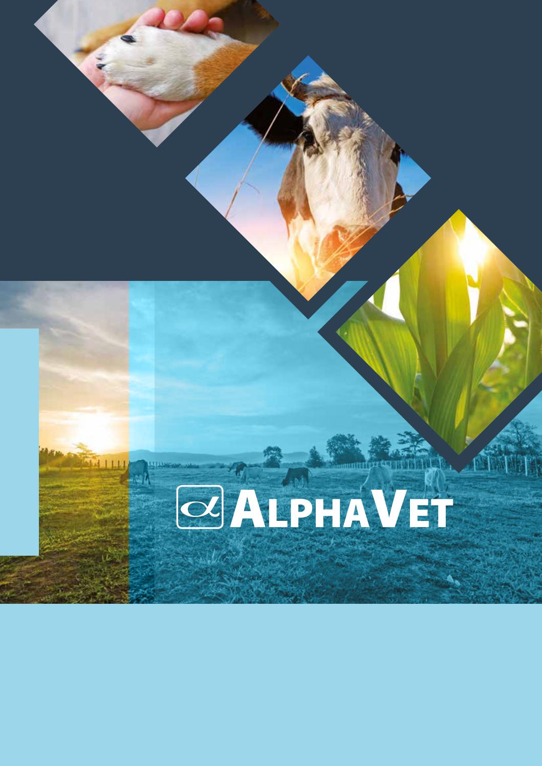 Information about our import activites by Alpha-Vet - Issuu