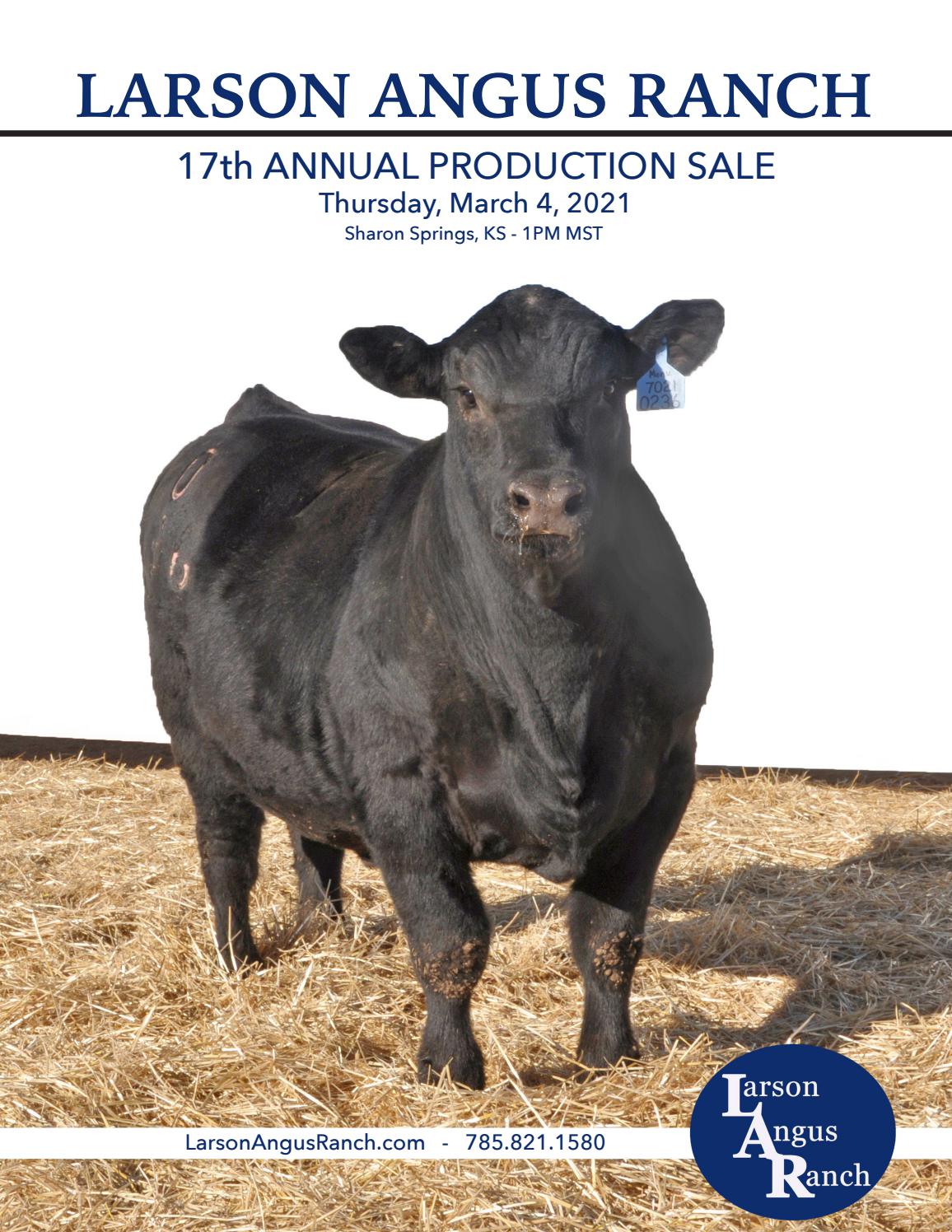 2021 Larson Angus Ranch Sale Catalog by Ranch House Designs - Issuu