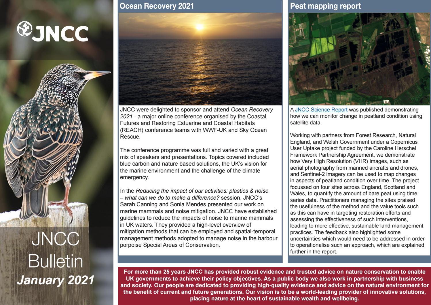 JNCC Bulletin January 2021 by jncc_uk - Issuu