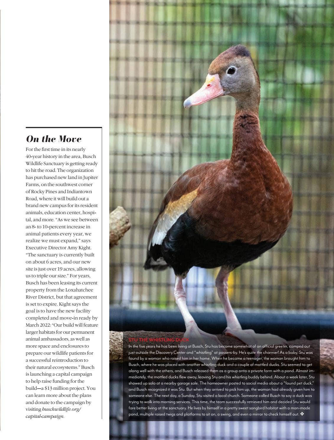 Stuart Magazine March 2021 by Palm Beach Media Group - Issuu