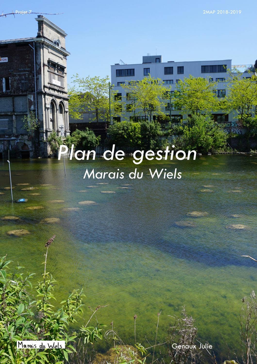 Marais du Wiels/ Wiels Moeras - Plan de Gestion by genauxjulie - Issuu