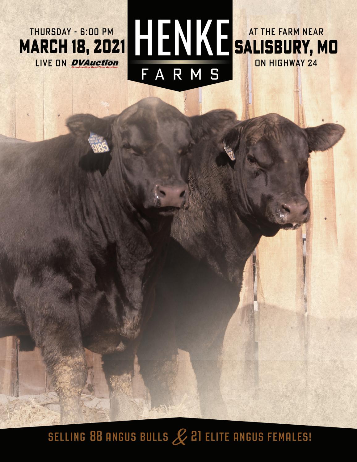 Henke Farms - 2021 Production Sale Catalog by LivestockDirect - Issuu