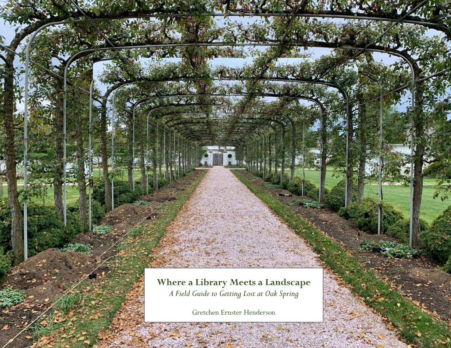 Where a Library Meets a Landscape: A Field Guide to Getting Lost at Oak ...