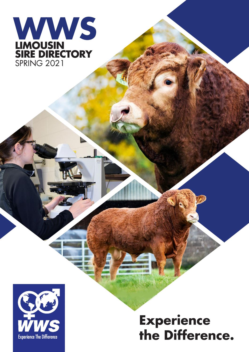 WWS Ireland Limousin Sire Directory Spring 2021 by WWS Ireland - Issuu