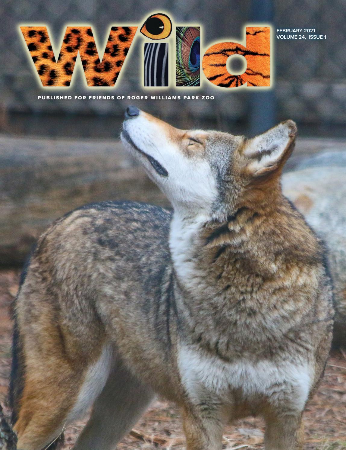 2021 Winter WILD Magazine by Roger Williams Park Zoo - Issuu