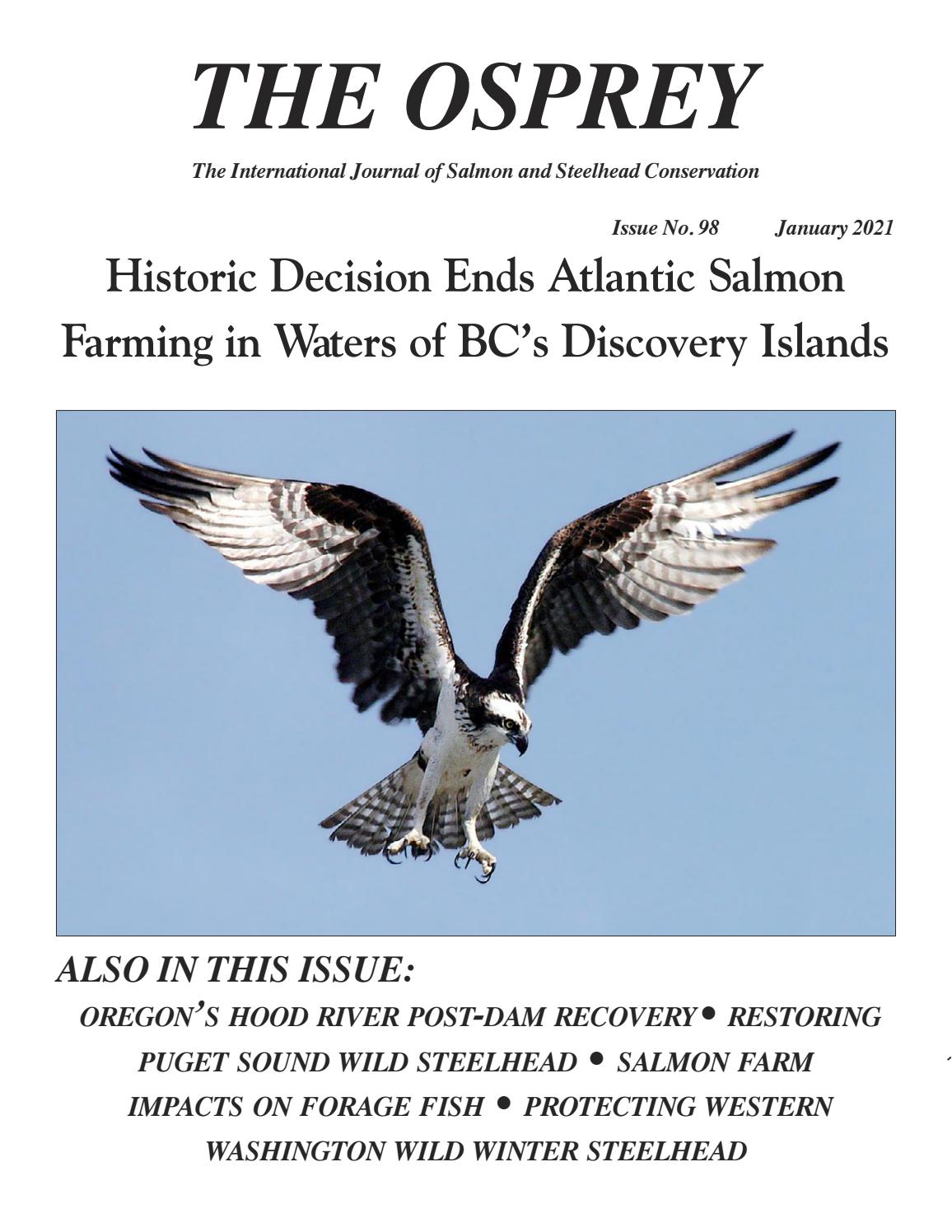 The Osprey January 2021 by The Osprey Journal - Issuu