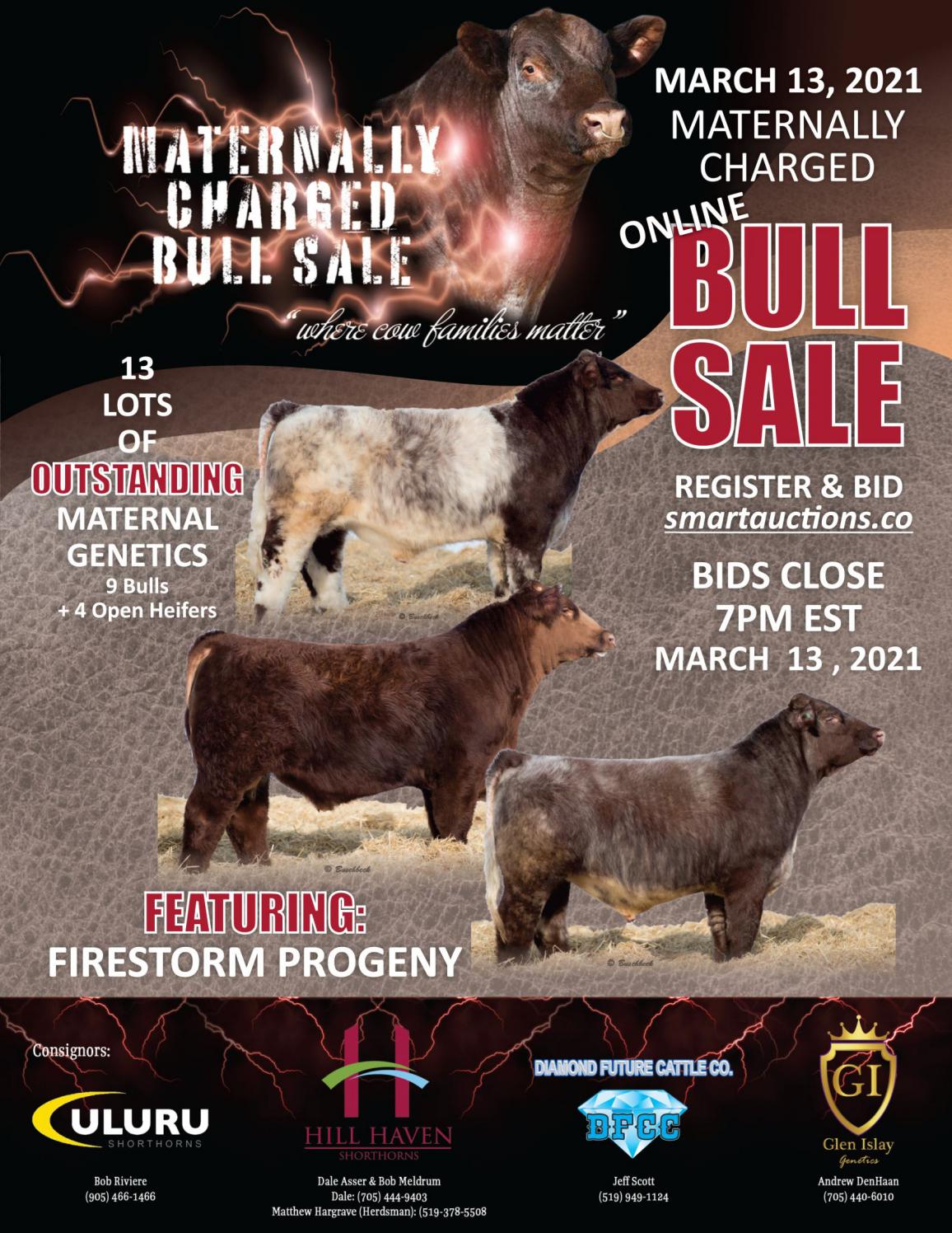 Maternally Charged Bull Sale by Hillhavenshorthorn - Issuu