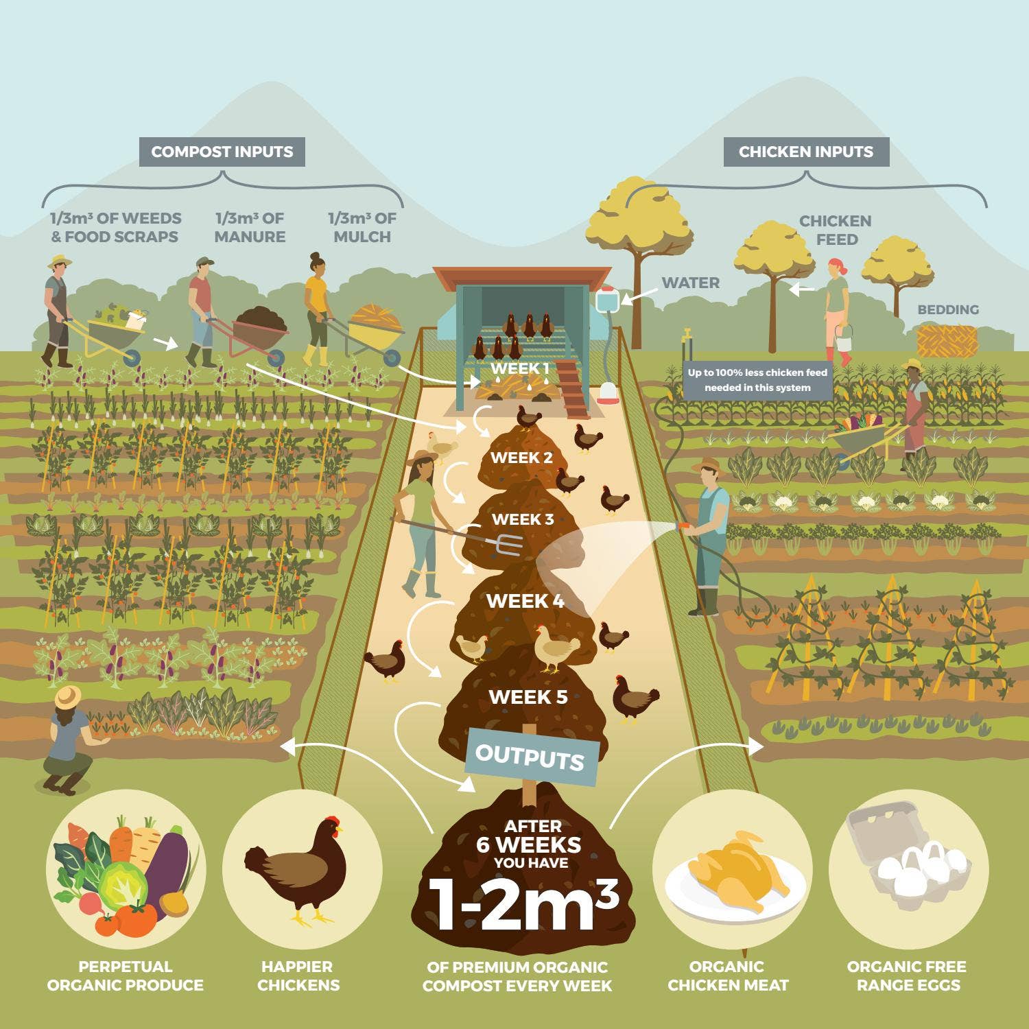 Chicken Tractor Infographic by Discover Permaculture - Issuu