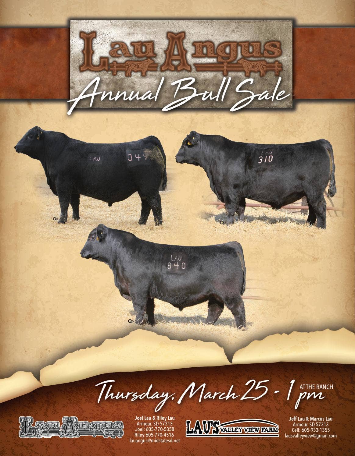 Lau Angus Annual Bull Sale Book by kelsey.steinkraus - Issuu