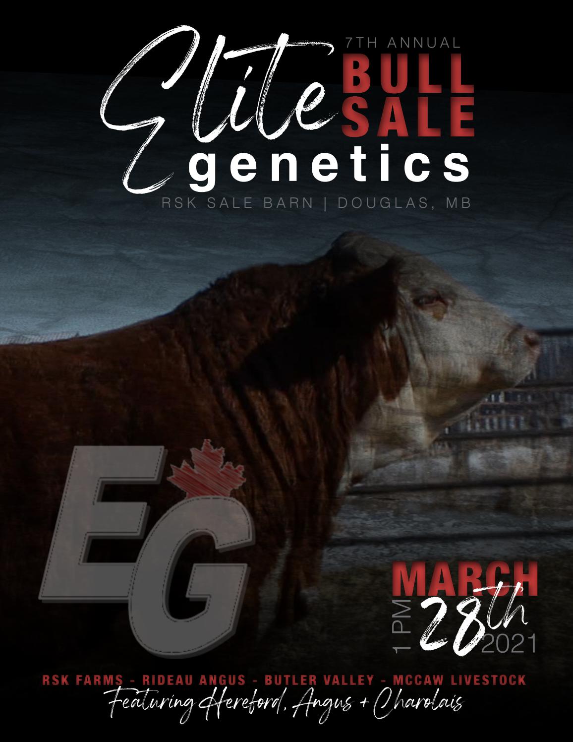 7th Annual Elite Genetics Bull Sale by Prairie Pistol Designs - Issuu