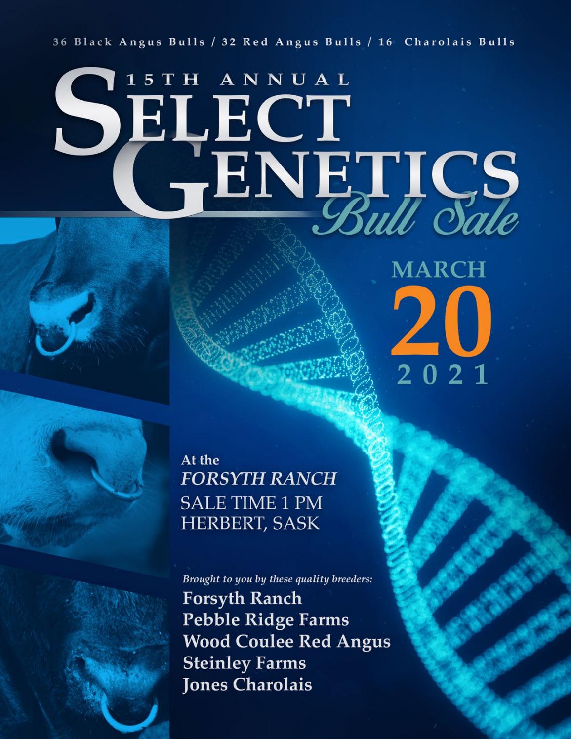 15th Annual Select Genetics 2021 Bull Sale by jamieraepittman - Issuu
