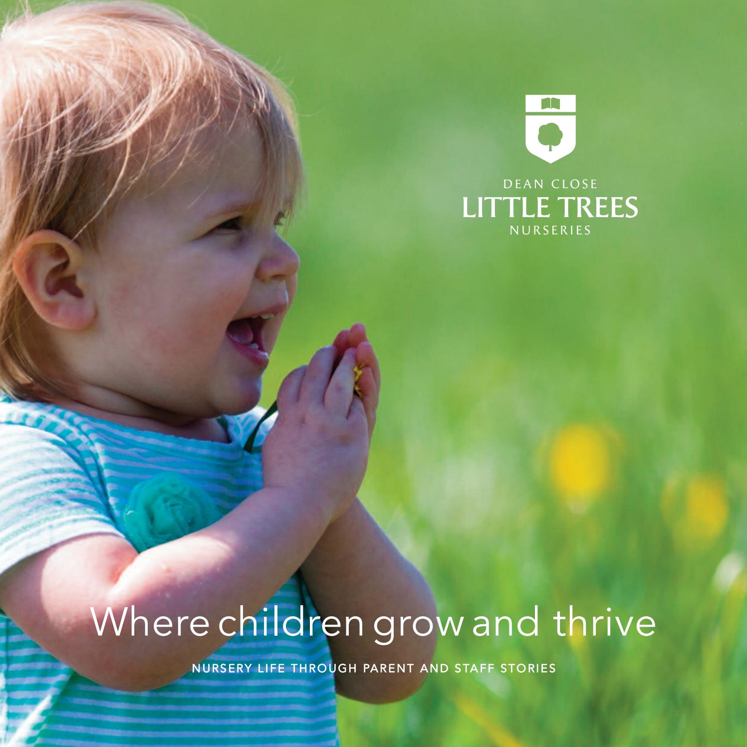 Dean Close Little Trees Brochure by Dean Close School - Issuu