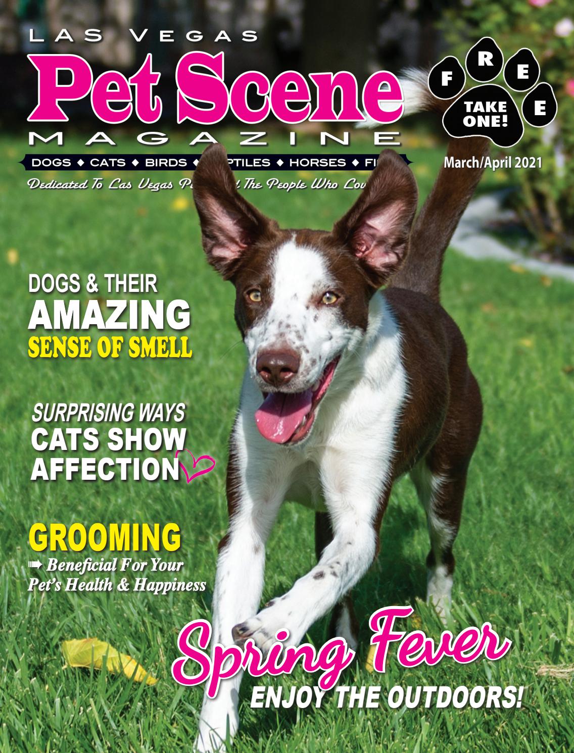 Las Vegas Pet Scene Magazine, March/April 2021 by Homes Illustrated/LV ...