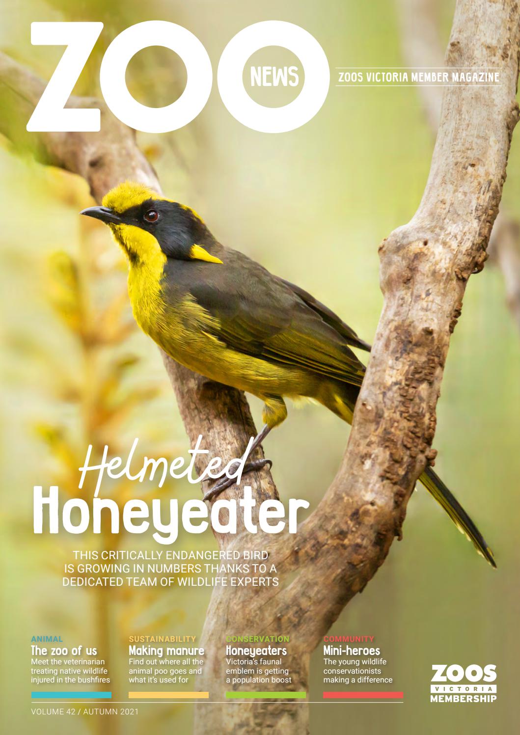 Zoo News Autumn 2021 by zoosvic - Issuu