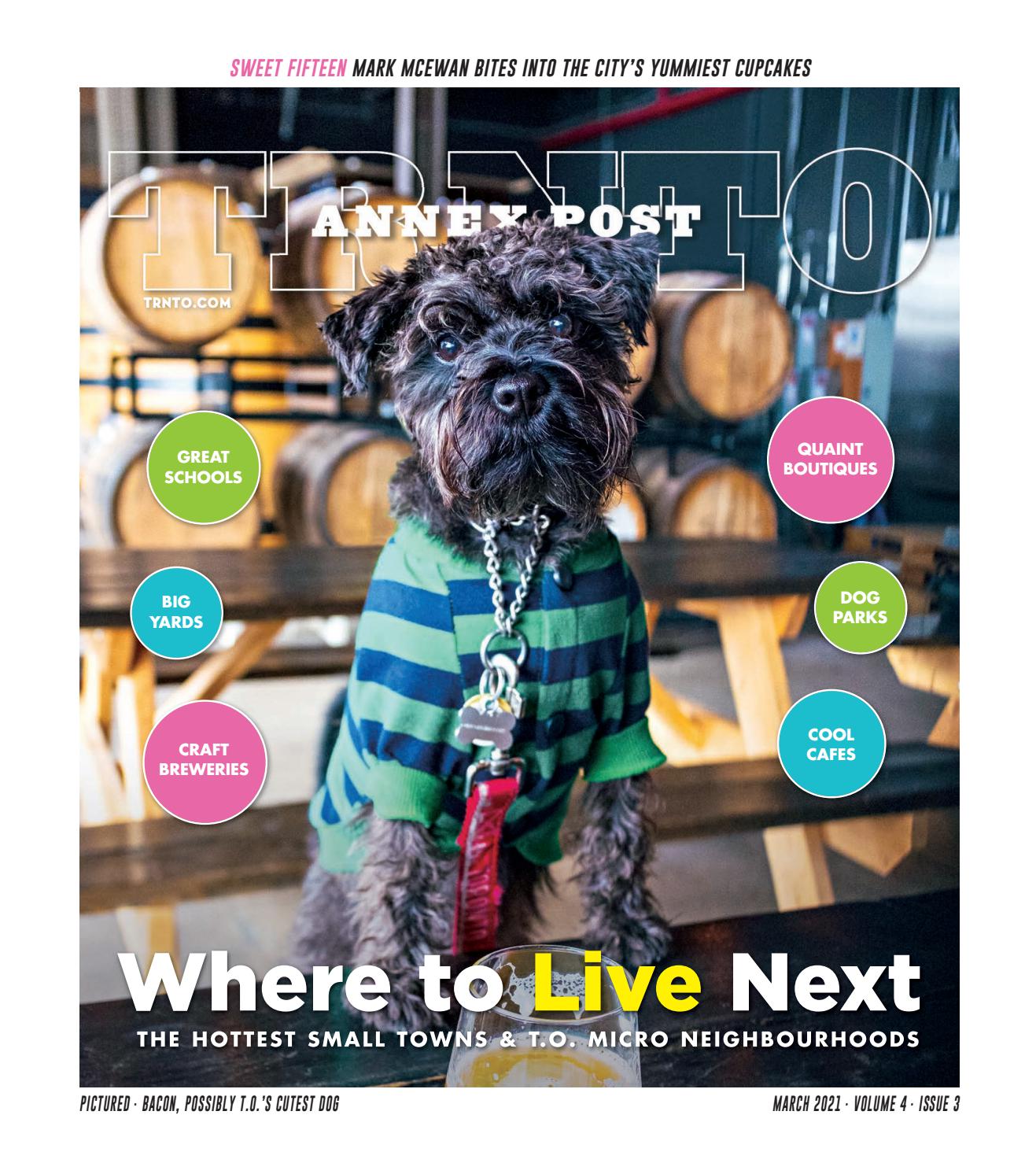 Annex Post March 2021 by Post City Magazines - Issuu