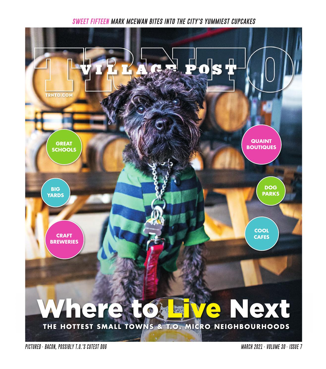 Village Post March 2021 by Post City Magazines - Issuu