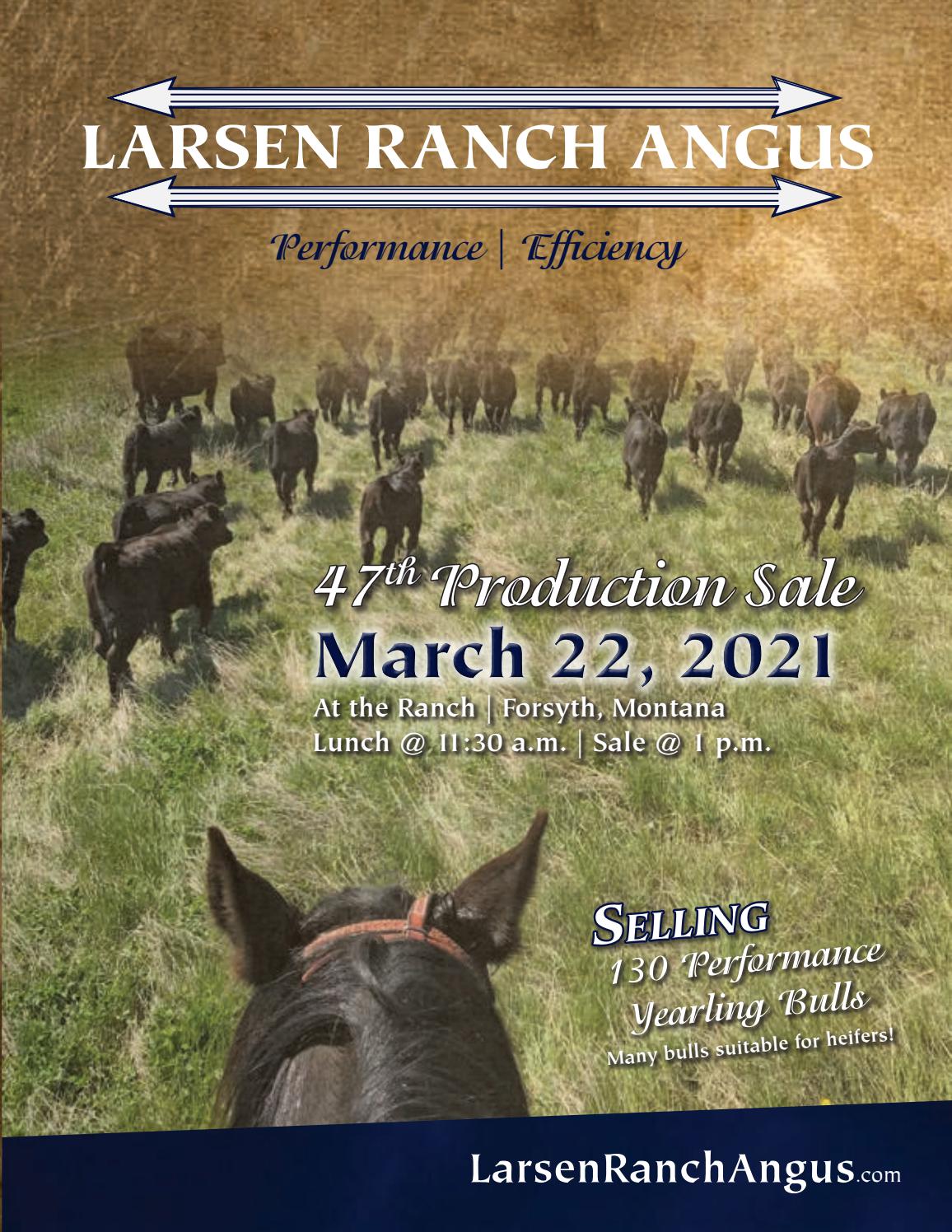 Larsen Ranch Angus Sale Catalog 2021 by PeltonLivestock - Issuu