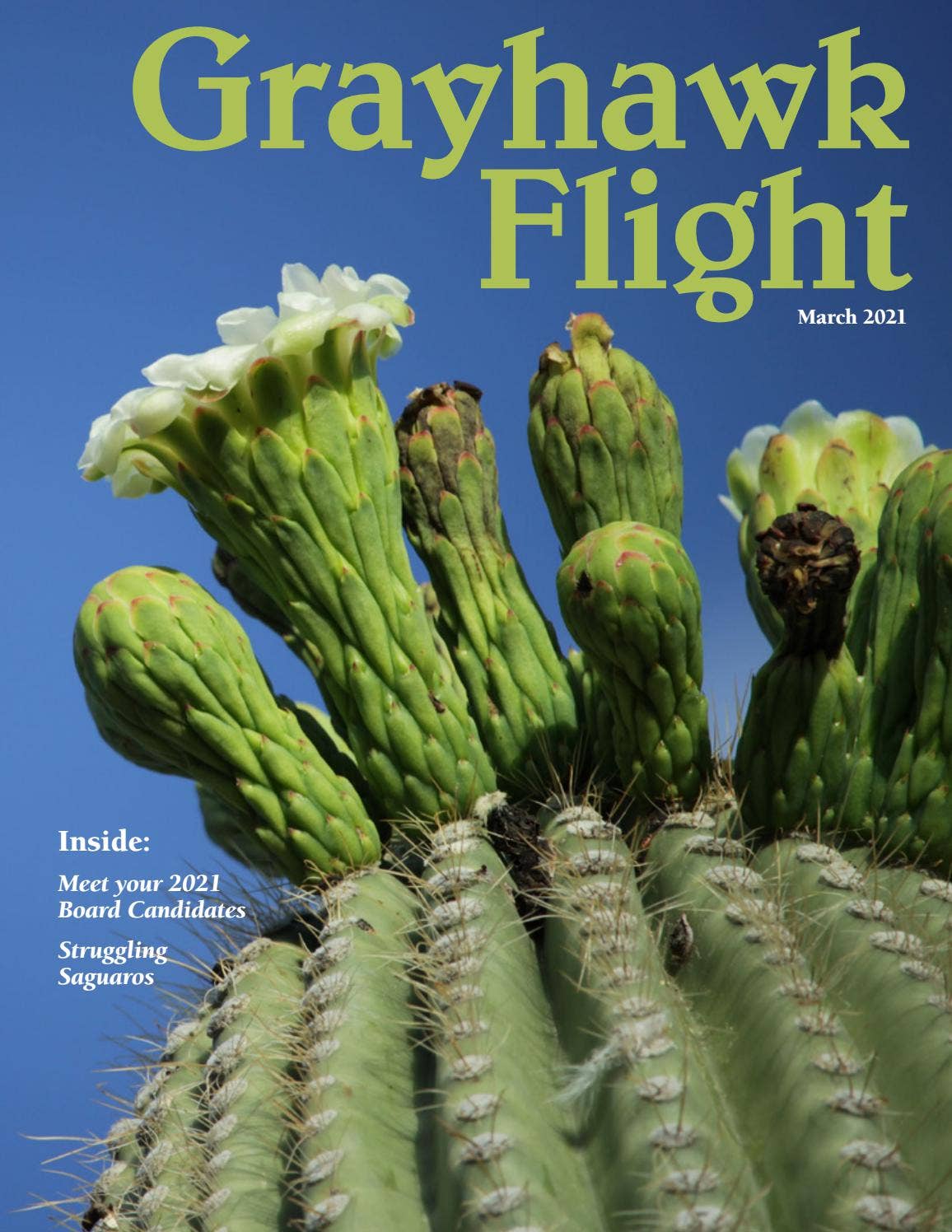 The Grayhawk Flight- March 2021 by Grayhawk Flight - Issuu