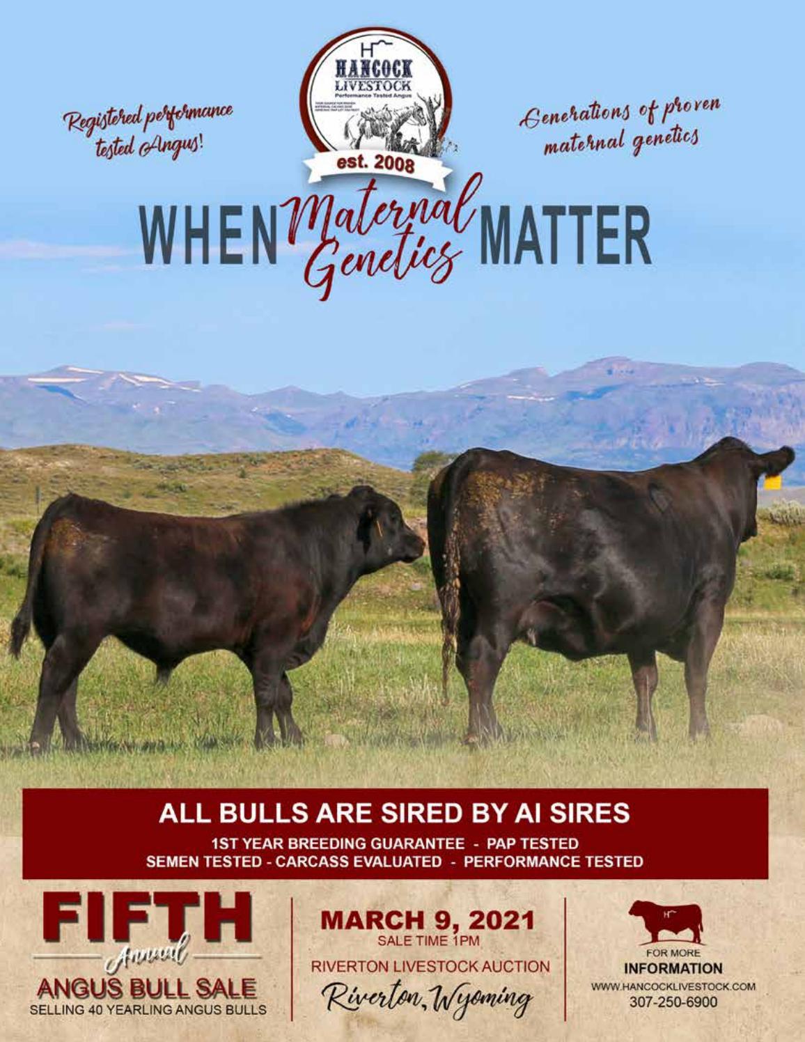 Hancock Livestock Angus Bull Sale Catalog 2021 by PeltonLivestock - Issuu