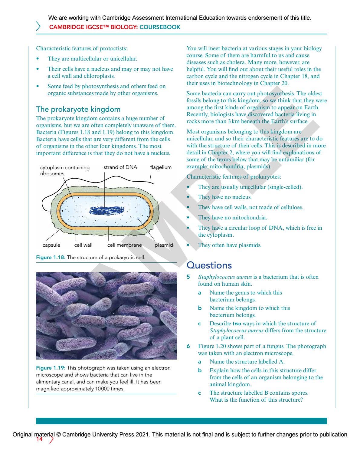 IGCSE Biology MULTI-COMPONENT SAMPLE by Cambridge International ...