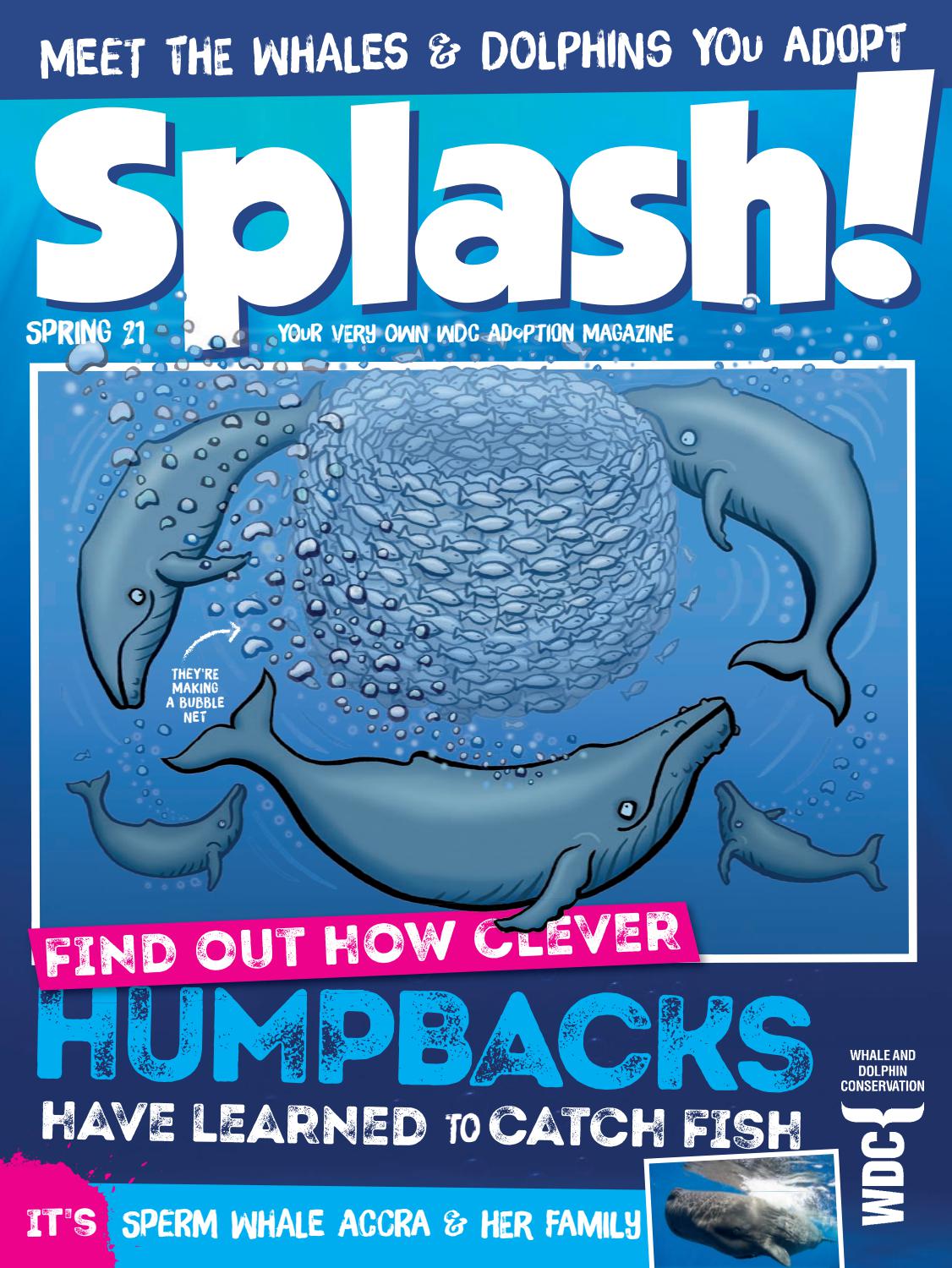 Splash Spring 2021 by Think Publishing - Issuu