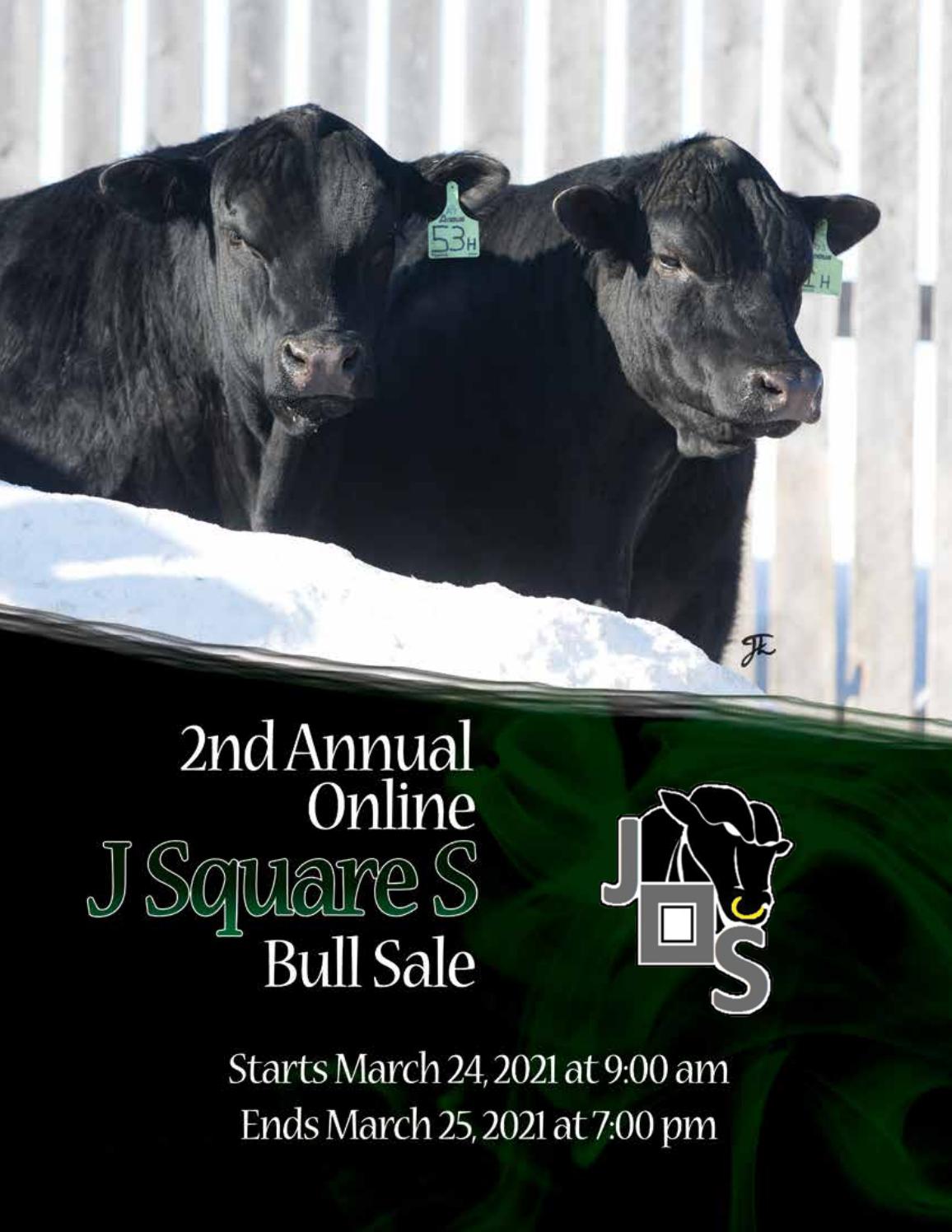 J Square S Second Annual Online Bull Sale by Today's Publishing Inc ...