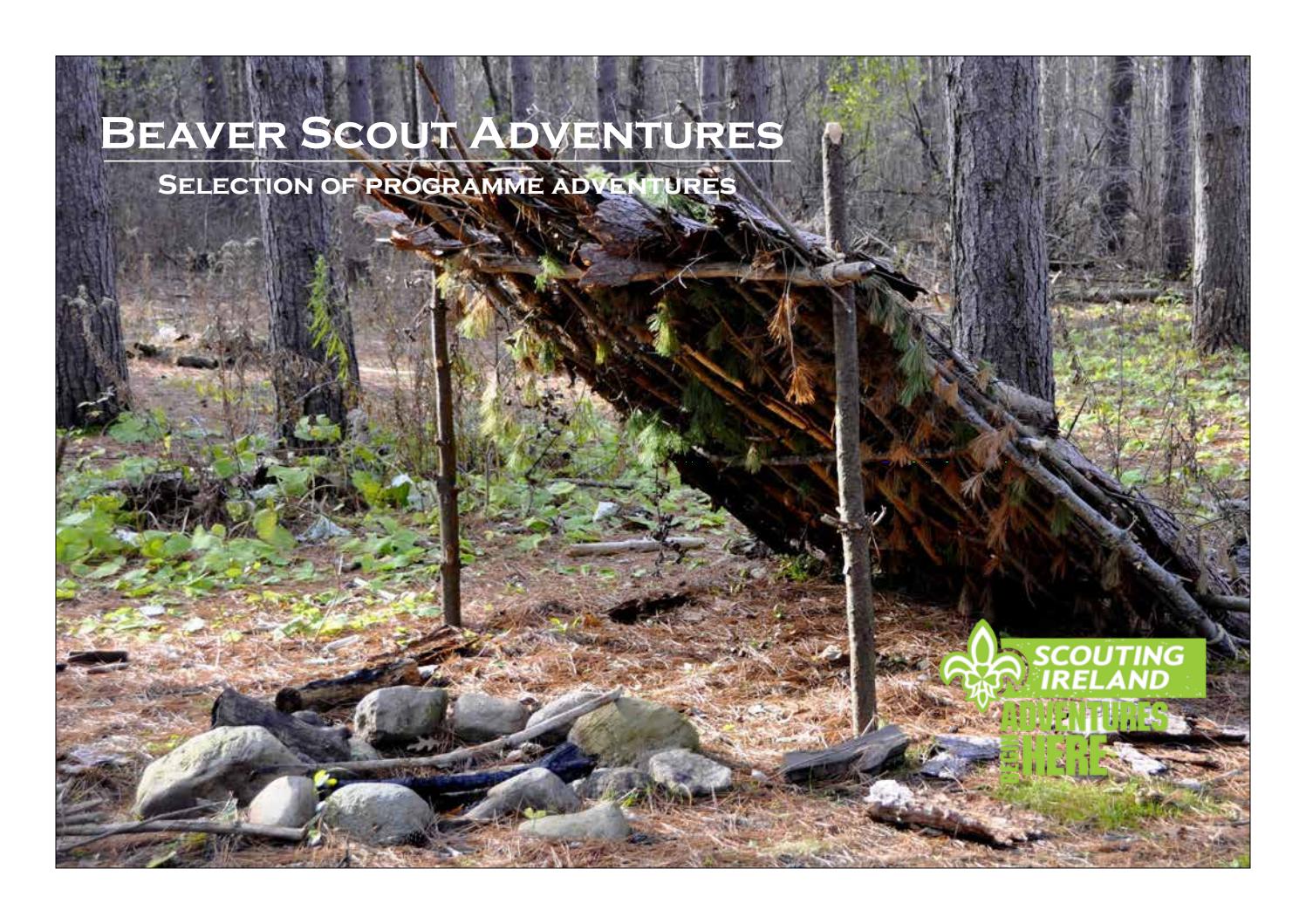 Beaver Scout Adventures by Scouting Ireland - Issuu