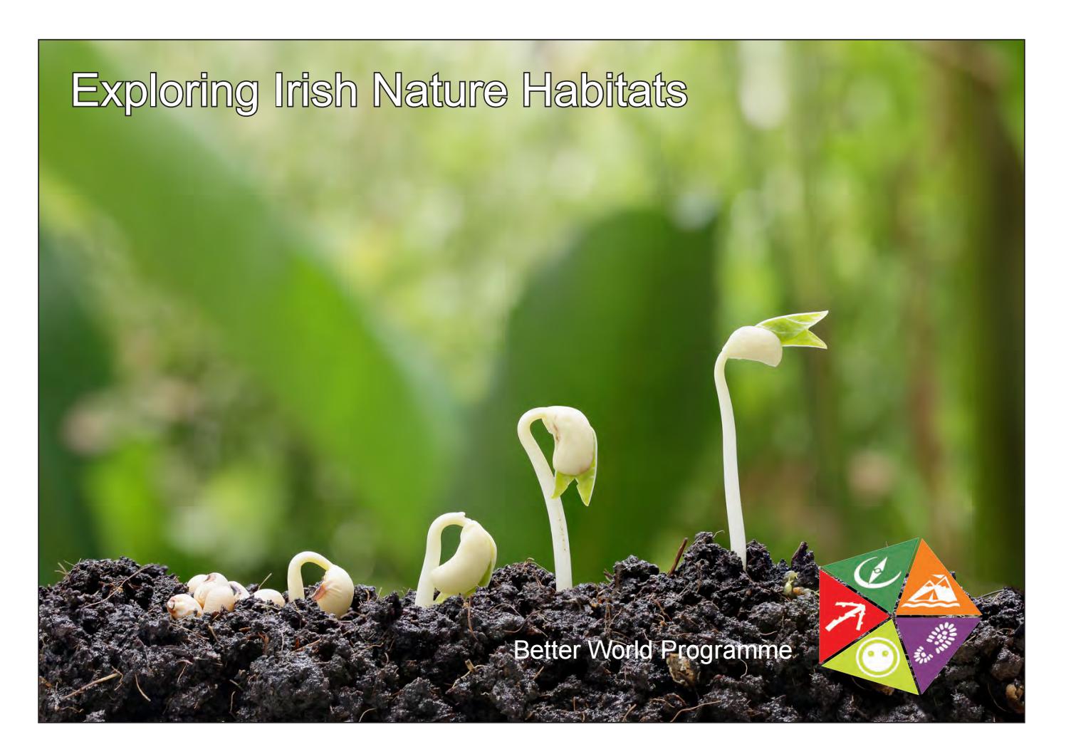Exploring Irish Native habitats by Scouting Ireland - Issuu