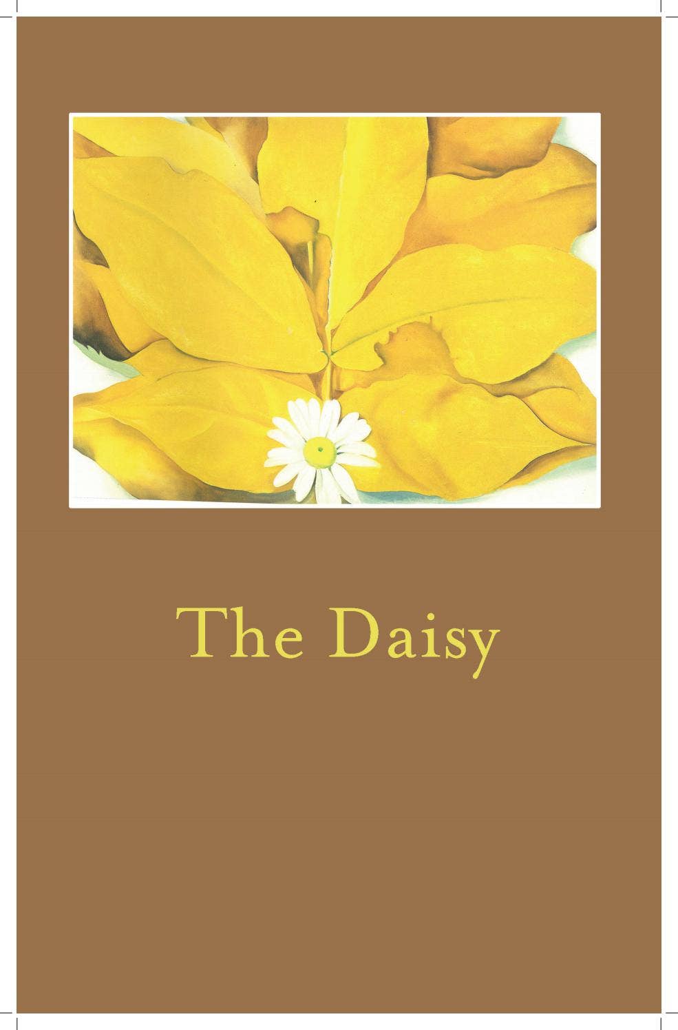 The Daisy by Cornell Botanic Gardens - Issuu