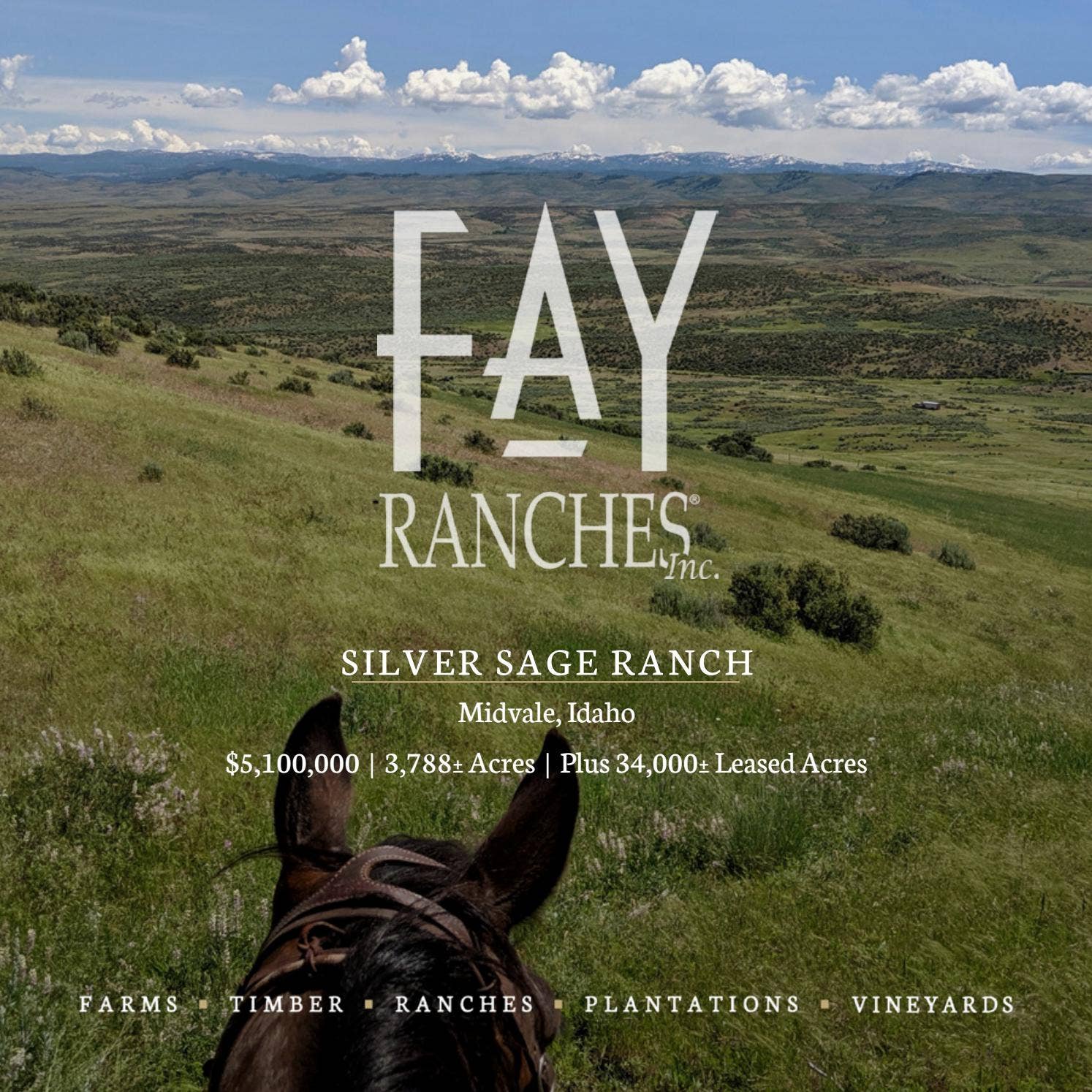 SOLD | Silver Sage Ranch | Fay Ranches by Fay Ranches - Issuu