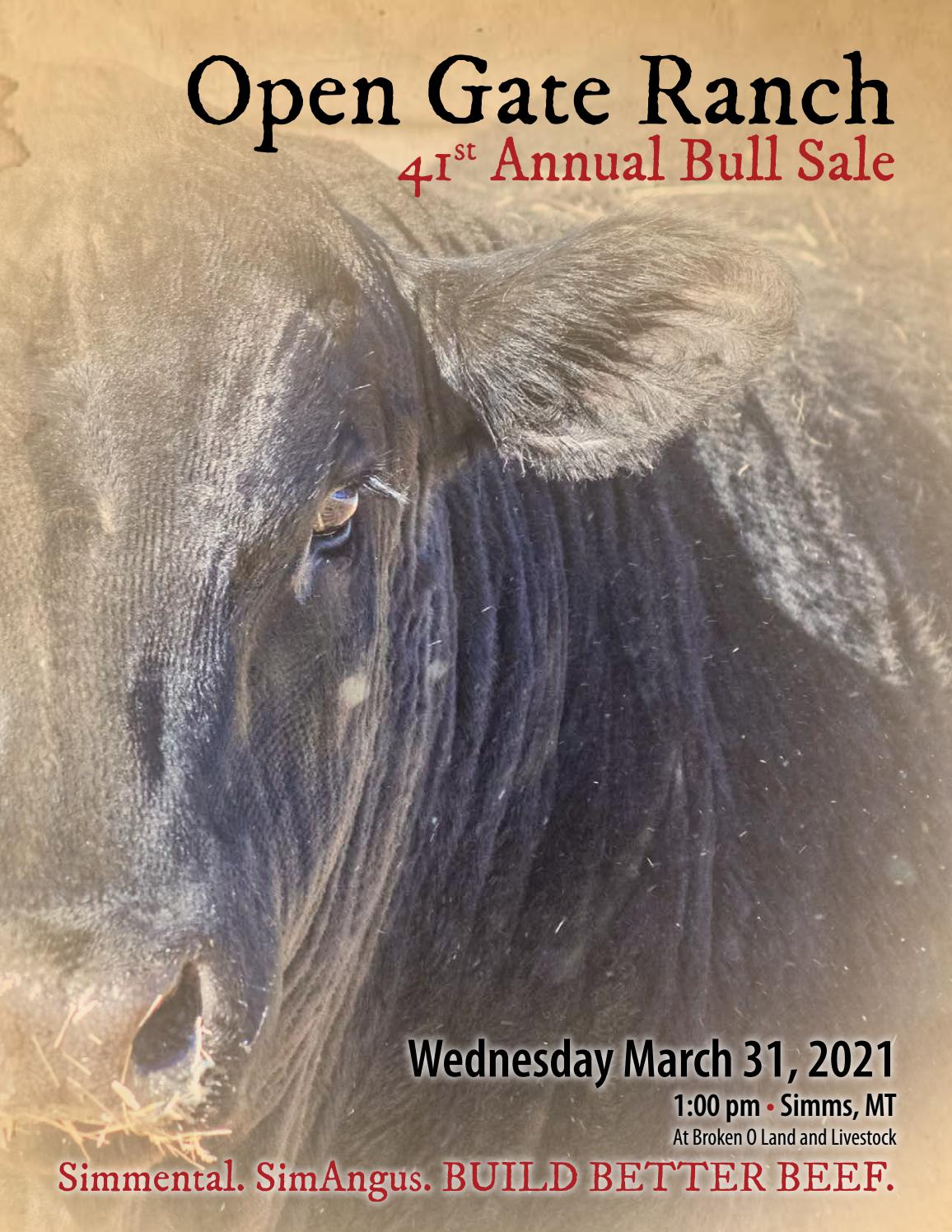 Open Gate Ranch 41st Annual Bull Sale Catalog 2021 by PeltonLivestock ...
