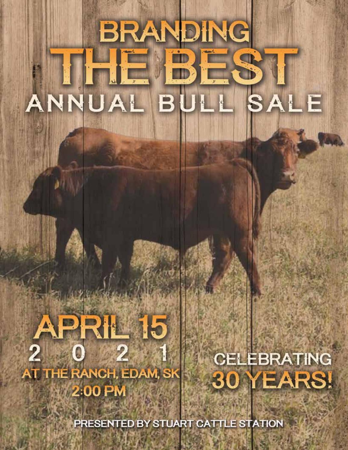 Stuart Cattle Station Annual Bull Sale by Today's Publishing Inc. - Issuu