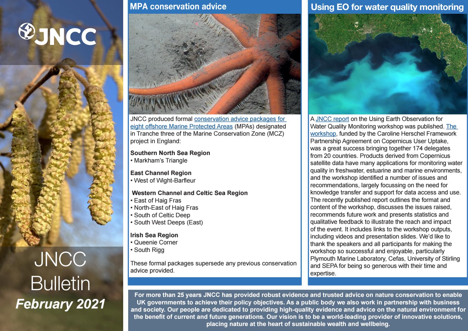 JNCC Bulletin February 2021 by jncc_uk - Issuu