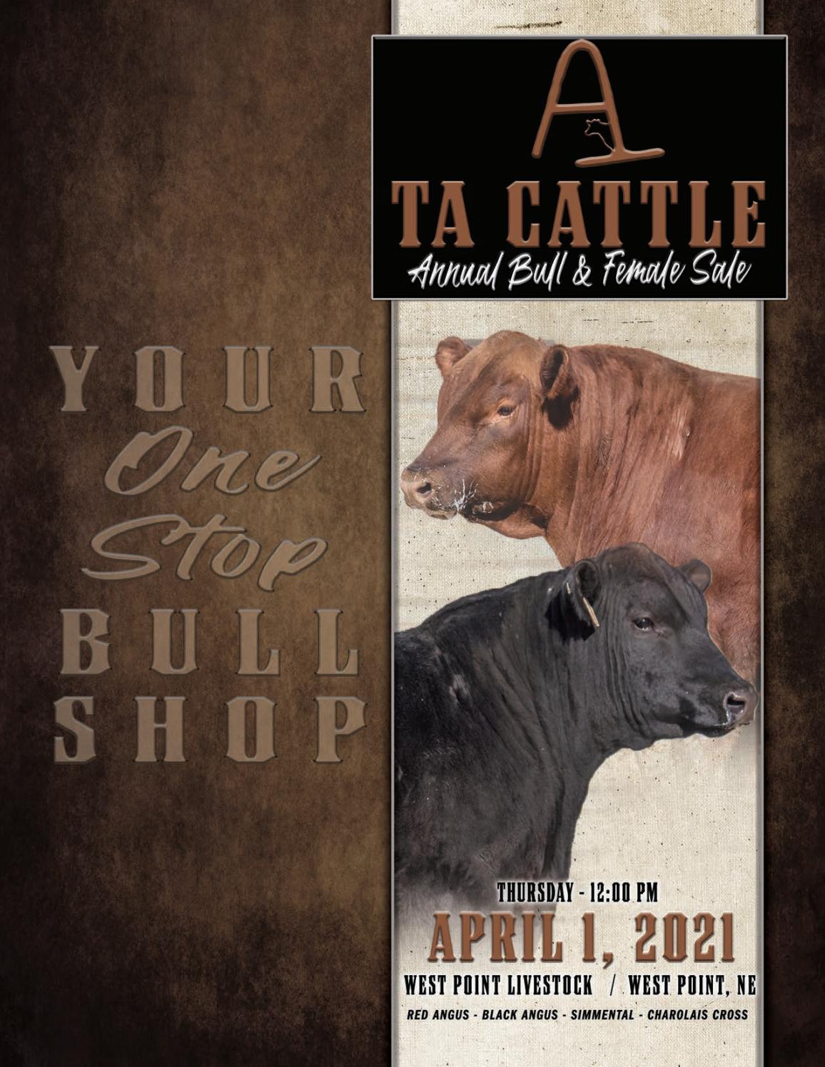 TA Cattle - 2021 Spring Sale Catalog by LivestockDirect - Issuu